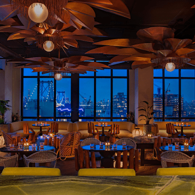 LilliStar (Brooklyn) | Opinions 2025